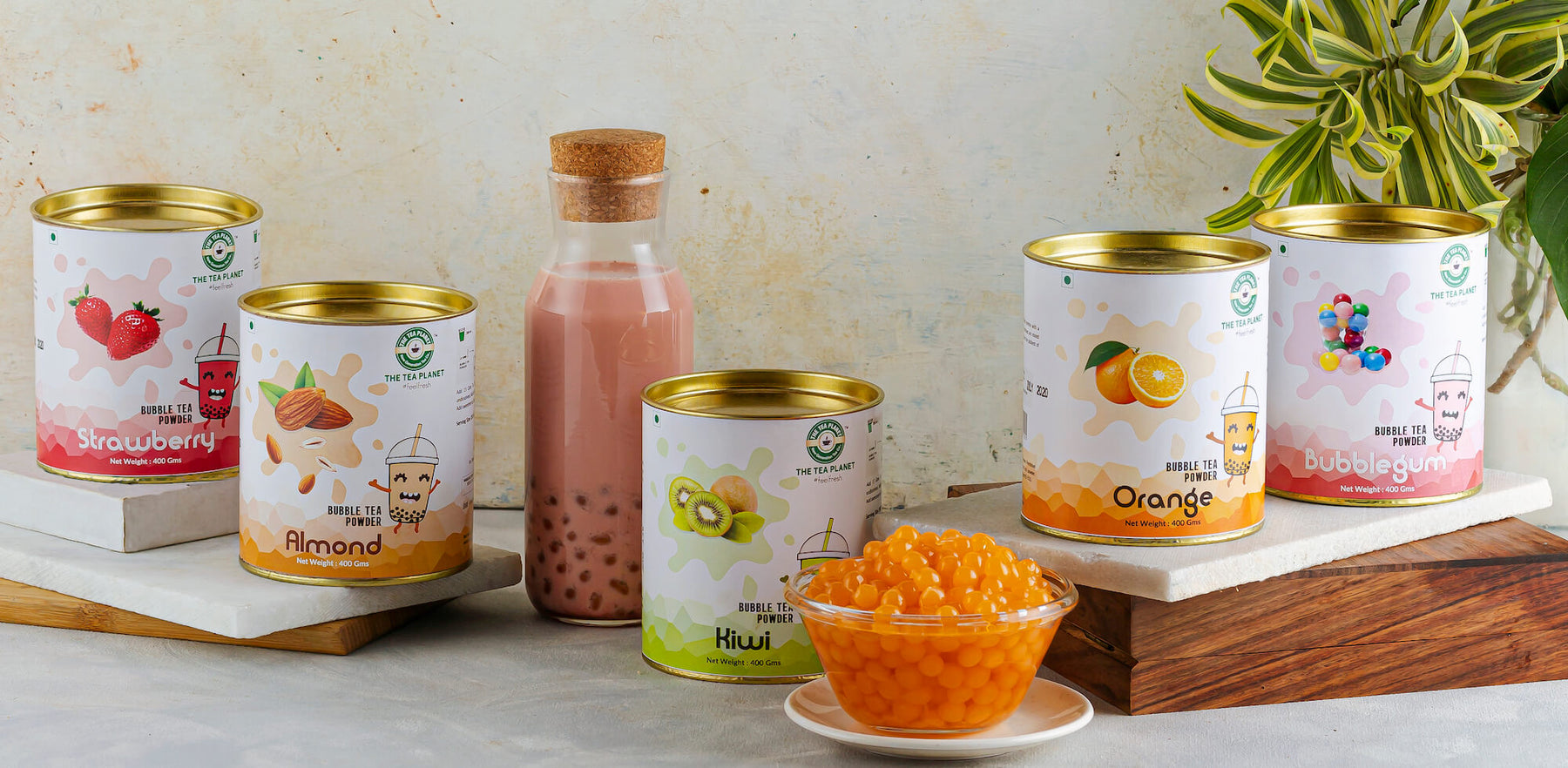 Buy Tea Online | Premium Tea Shop - The Tea Planet